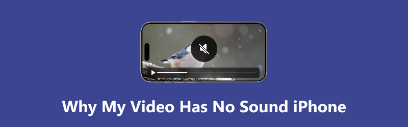 How to Fix ‘Why My Video Has No Sound’ on iPhone (2025 Fixes)